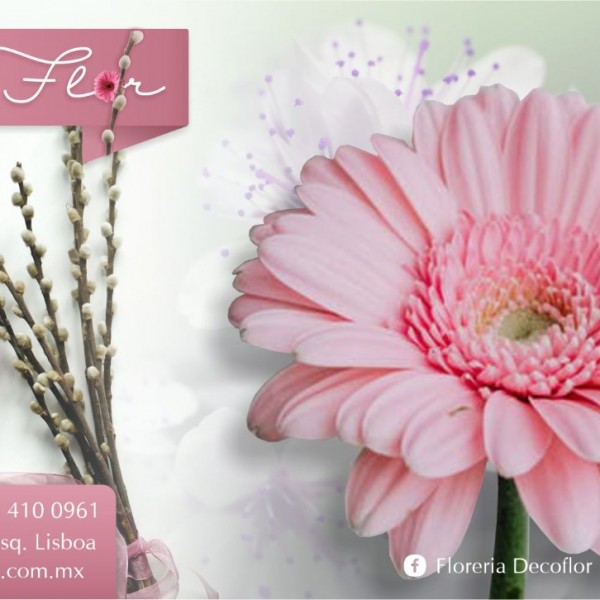 Catálogo – Decoflor