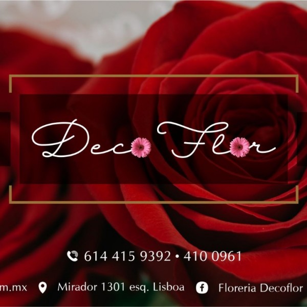 Catálogo – Decoflor