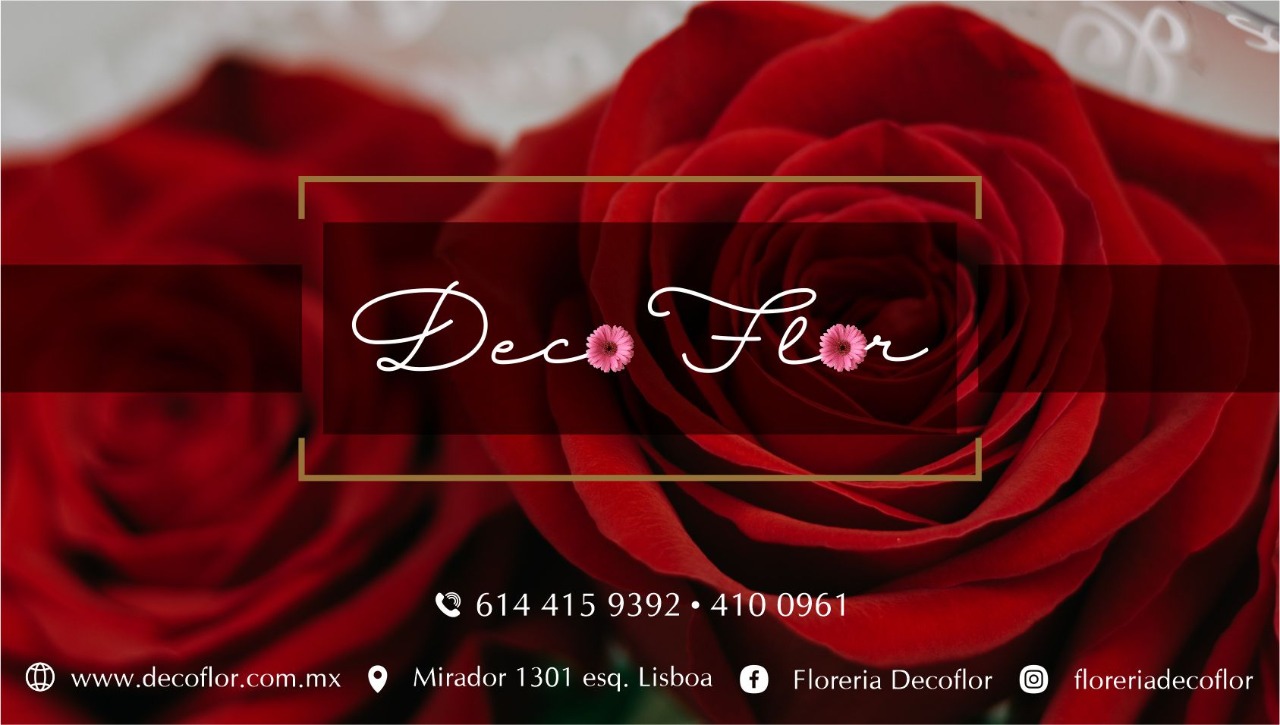 Toda Ocasión – Decoflor