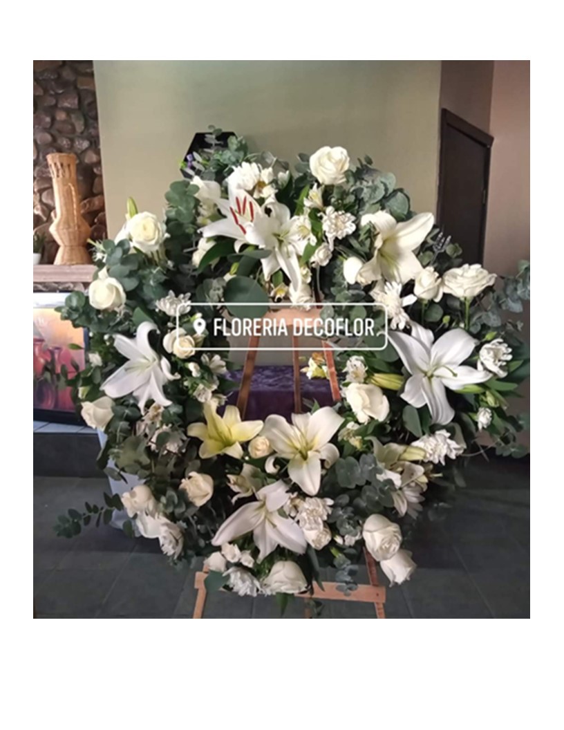 Catalogo – Decoflor